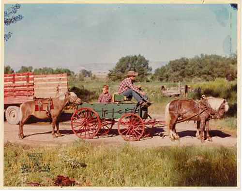 Cattle & Farming – emery.utah.gov